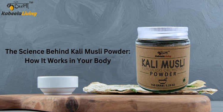 The Science Behind Kali Musli Powder: How It Works in Your Body ...